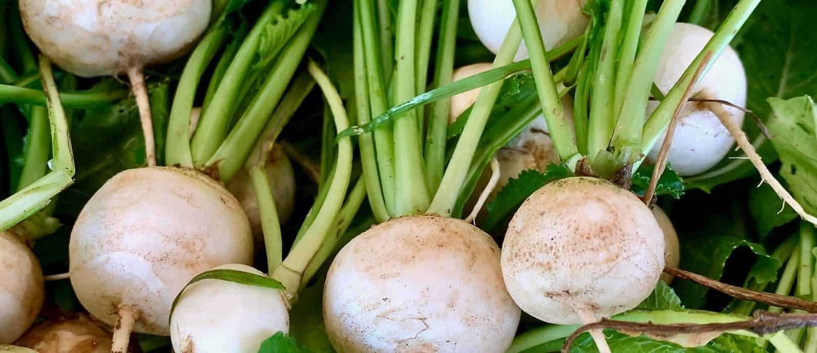 Comment choisir des navets ? - Promesse de Fleurs