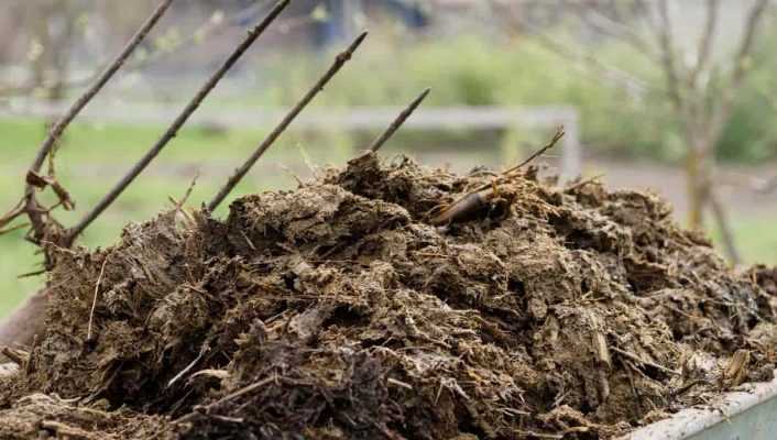 Le fumier en 10 questions / réponses - Promesse de Fleurs