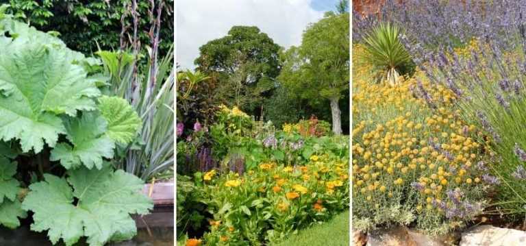 L’humidité du sol au jardin : Comment la définir ? - Promesse de Fleurs