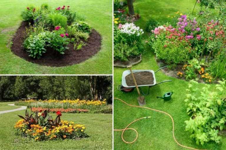 Réussir un beau massif : les fausses bonnes idées - Promesse de Fleurs