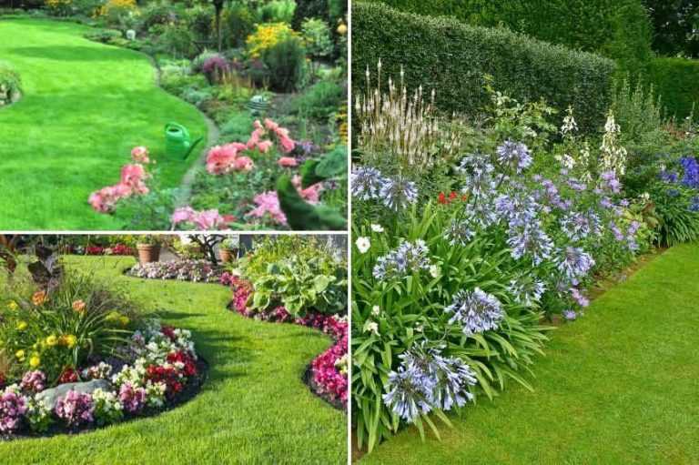 Réussir un beau massif : les fausses bonnes idées - Promesse de Fleurs