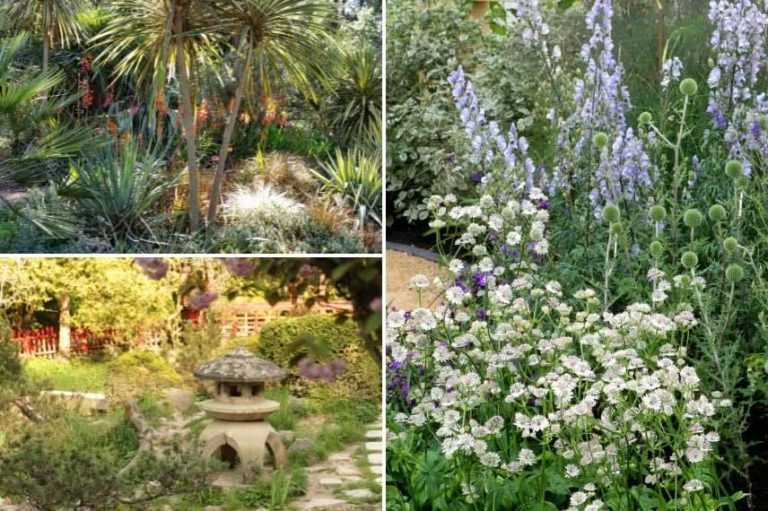 Réussir un beau massif : les fausses bonnes idées - Promesse de Fleurs