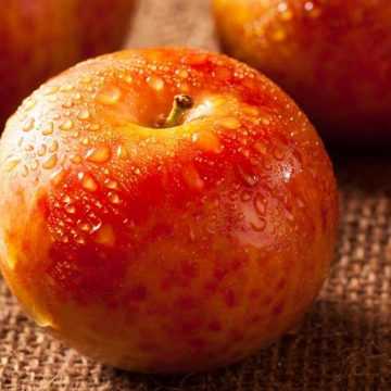 Le pluot : l'abricot-prune