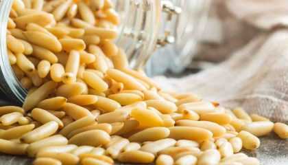 Comment récolter les pignons de pin ? - Promesse de Fleurs