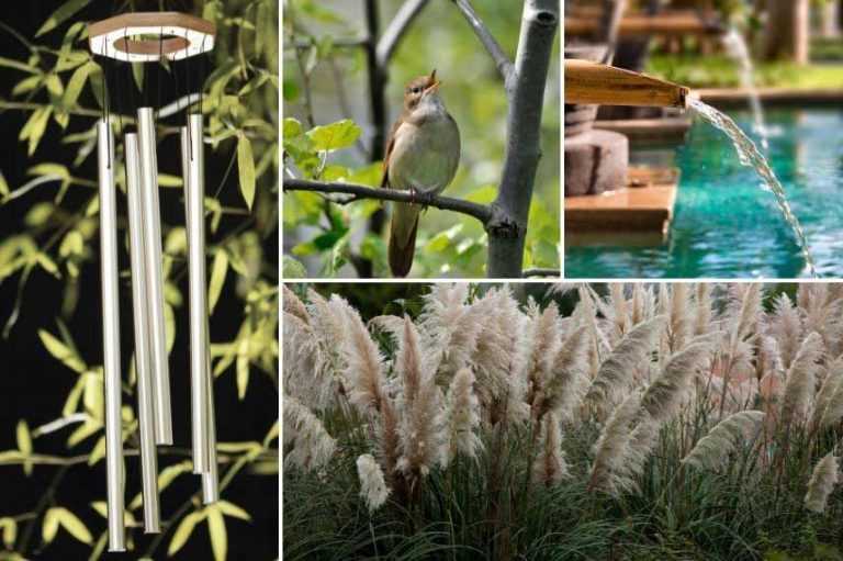 Créer un jardin sensoriel - Promesse de Fleurs