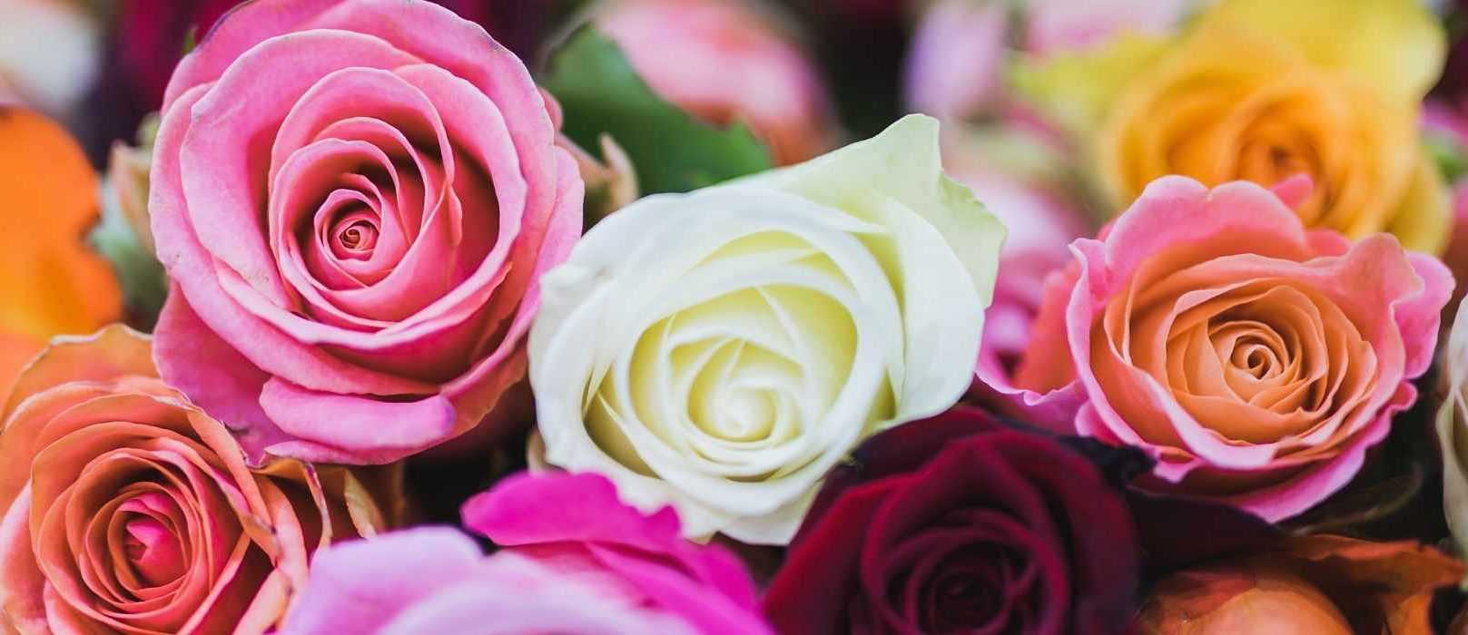 Le langage des fleurs - Promesse de Fleurs