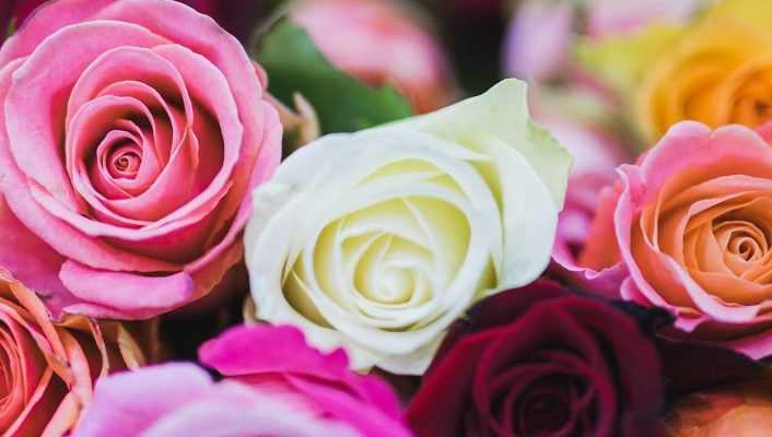 Le langage des fleurs - Promesse de Fleurs