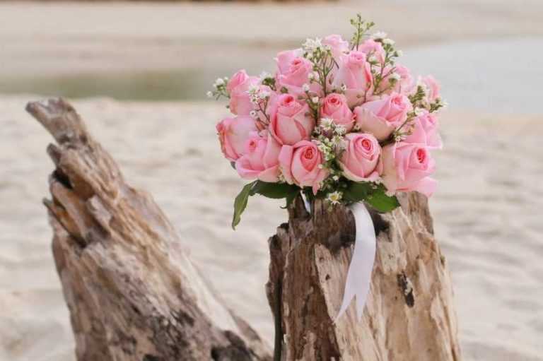 Le langage des fleurs - Promesse de Fleurs