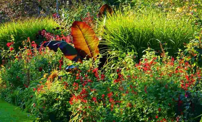 fleurs rouges : 10 vivaces qu'il faut avoir dans son jardin - Notre ...