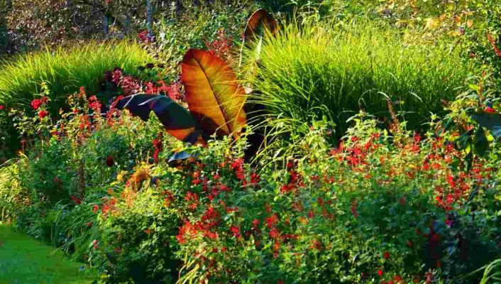 conseils de paysagiste pour aménager un jardin rouge