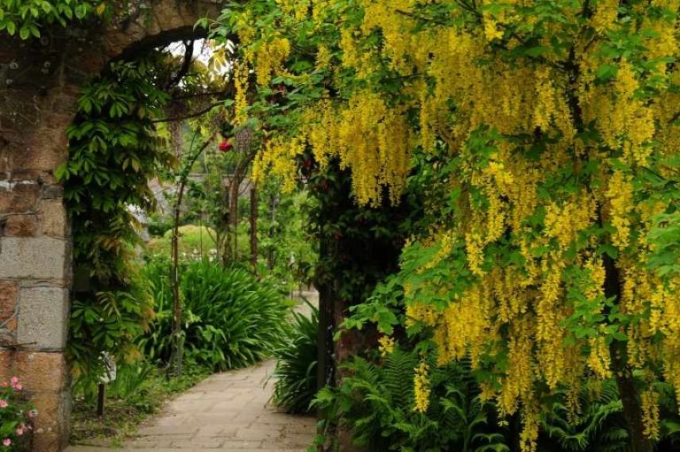 Aménager un jardin secret - Promesse de Fleurs