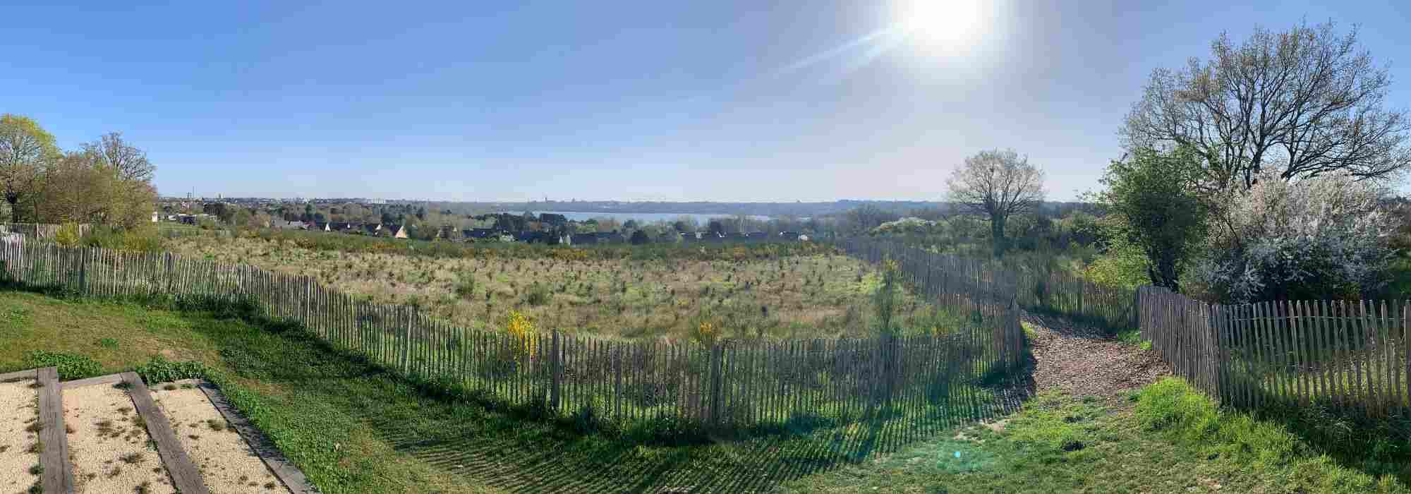 Créer une micro-forêt par la méthode Miyawaki - Promesse de Fleurs