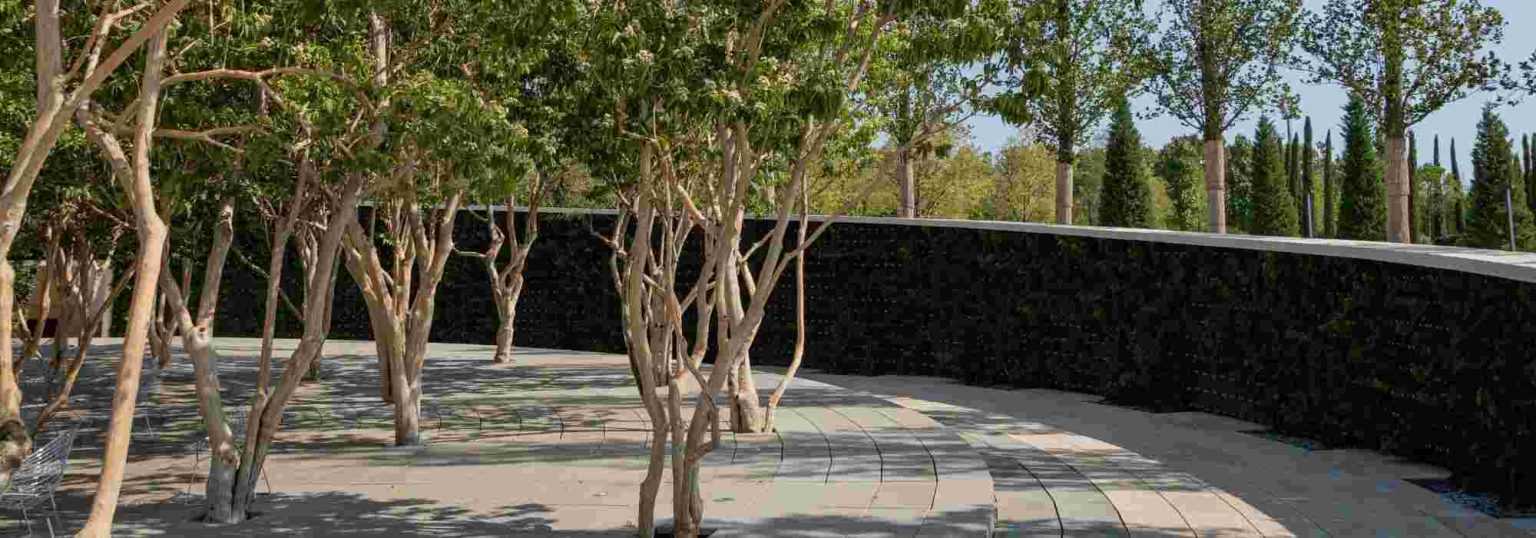 Les plus beaux arbustes en cépée - Promesse de Fleurs