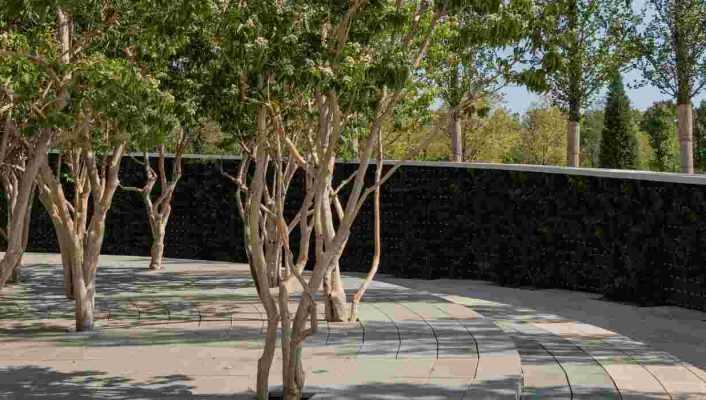 Les plus beaux arbustes en cépée - Promesse de Fleurs