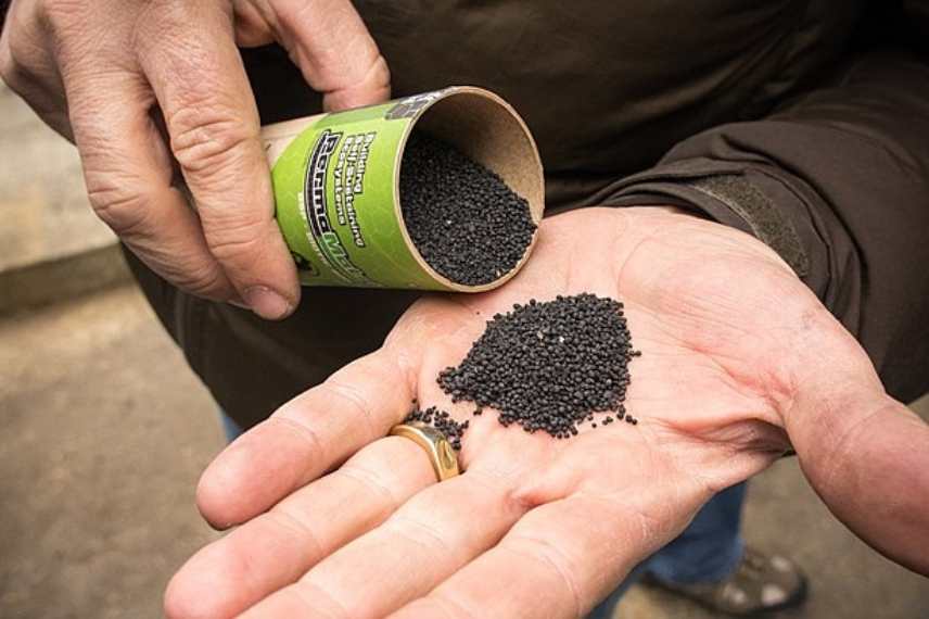 Le Biochar : qu'est-ce que c'est ? - Promesse de Fleurs