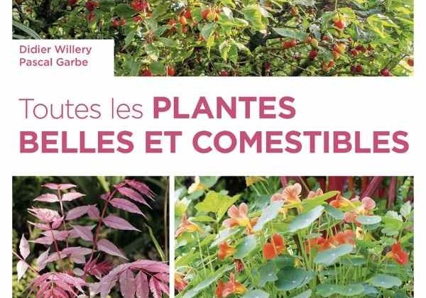 18 fleurs comestibles à découvrir et à cultiver au jardin