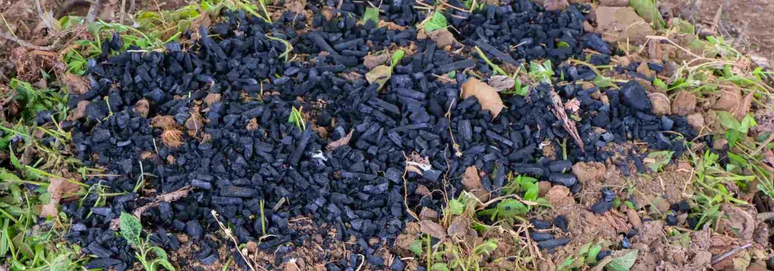 Le Biochar : qu'est-ce que c'est ? - Promesse de Fleurs
