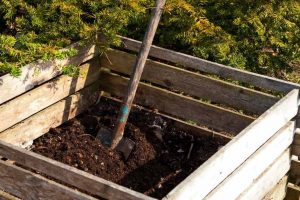 Jardiner écoresponsable : les produits bio et naturels