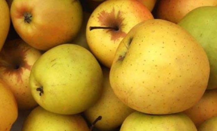 Les meilleures pommes à cuire - Promesse de Fleurs