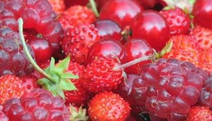 Nos conseils pour avoir de beaux petits fruits - Promesse de Fleurs