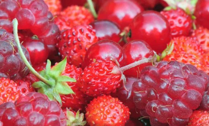 Nos conseils pour avoir de beaux petits fruits - Promesse de Fleurs