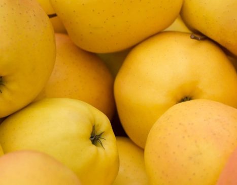 Les meilleures variétés de pommes jaunes -Promesse de Fleurs