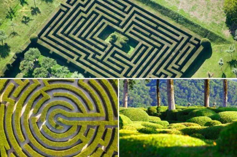 Créer un labyrinthe au jardin - Promesse de Fleurs