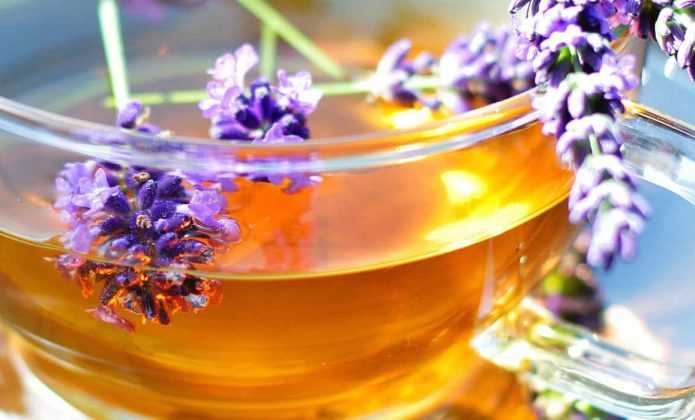 Tisane et infusion : quelles plantes cultiver au jardin - Promesse de ...