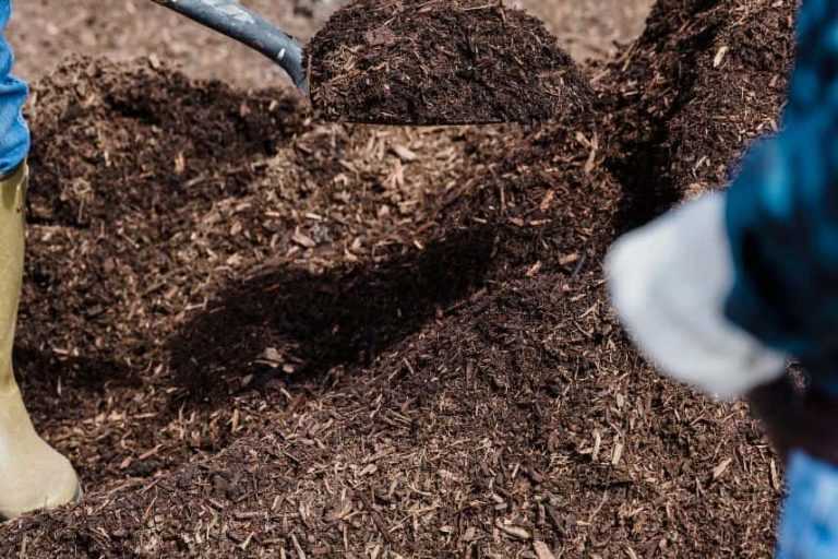 Compostage à chaud : méthode et conseils - Promesse de Fleurs