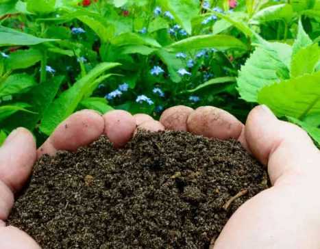 Compostage à chaud : méthode et conseils - Promesse de Fleurs