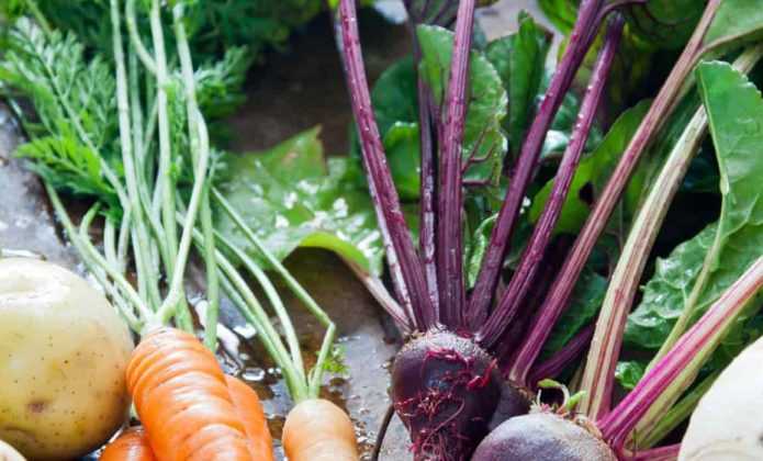 5 légumes racines pour potager en montagne - Promesse de Fleurs