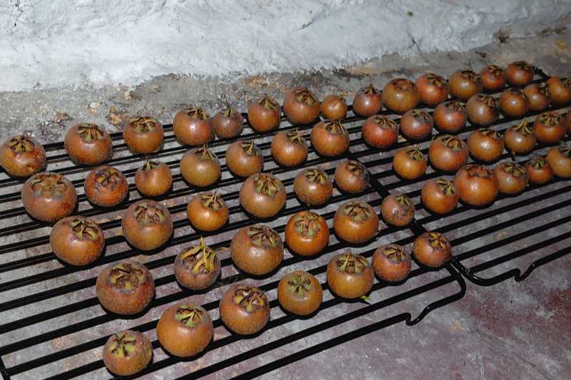 Récolte et conservation des nèfles : quand et comment ? - Blog Promesse ...