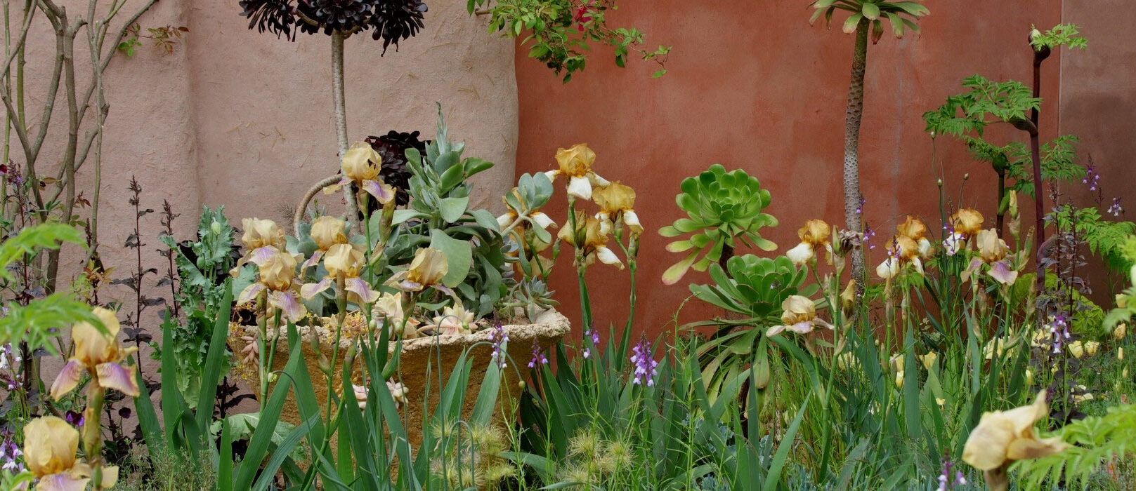 Comment aménager un jardin tendance Terre et sable ? Promesse de