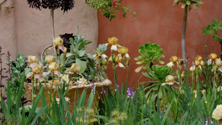 Comment aménager un jardin tendance Terre et sable ? Promesse de