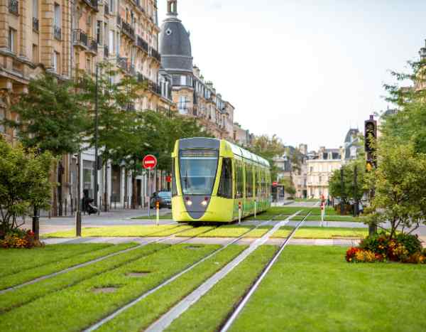 Qu'est-ce qu'une ville verte ? - Blog Promesse de fleurs