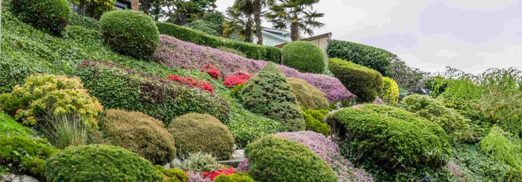 Comment planter sur un talus