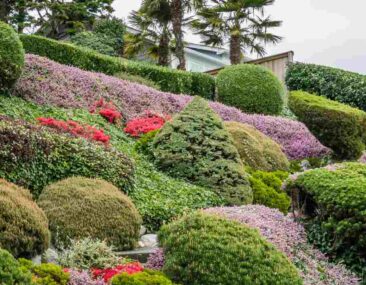 Comment planter sur un talus