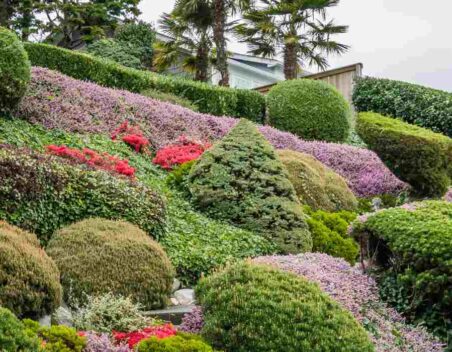 Comment planter sur un talus