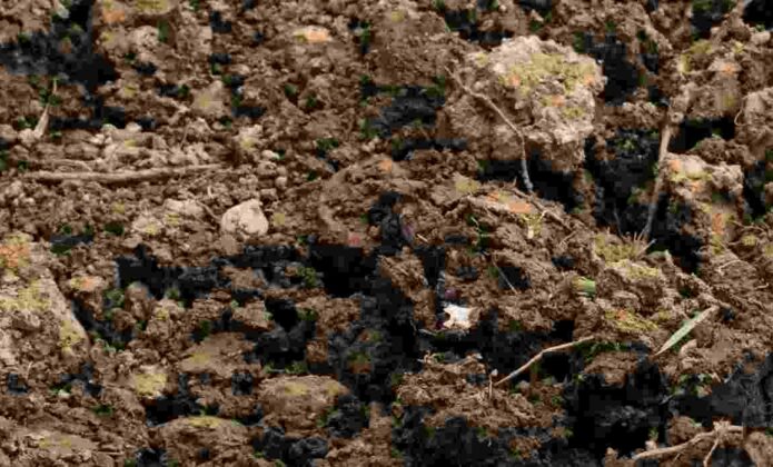 Qu'est-ce qu'un sol argilo-calcaire