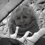 Le pêcher : le planter, le tailler et récolter ses fruits - Promesse de ...