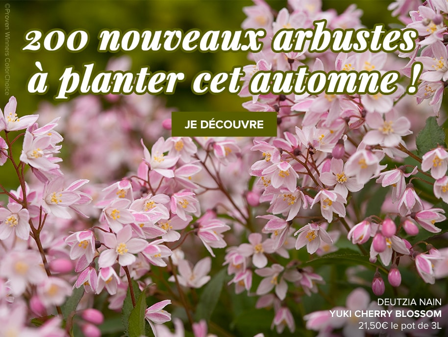 Promesse de fleurs, plantes pour le jardin : vivaces, arbustes ...