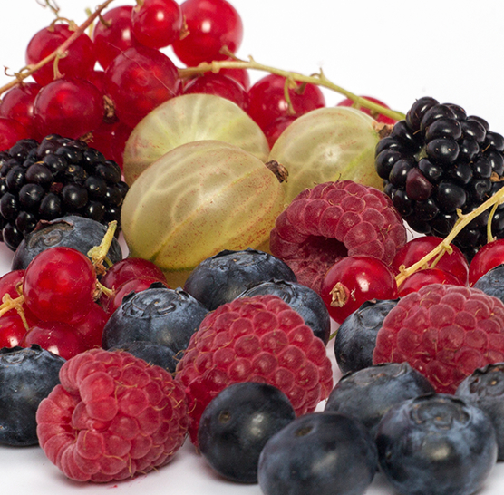 Fruitiers - Arbres formés en demi-tige ou palmette Verrier en âge de ...