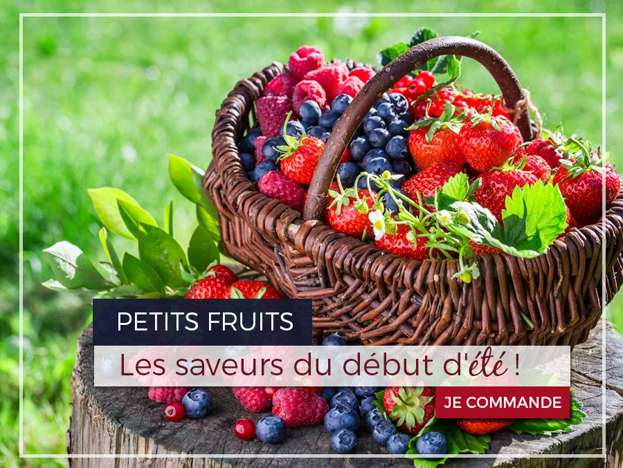 Promesse de fleurs, plantes pour le jardin : vivaces, arbustes ...