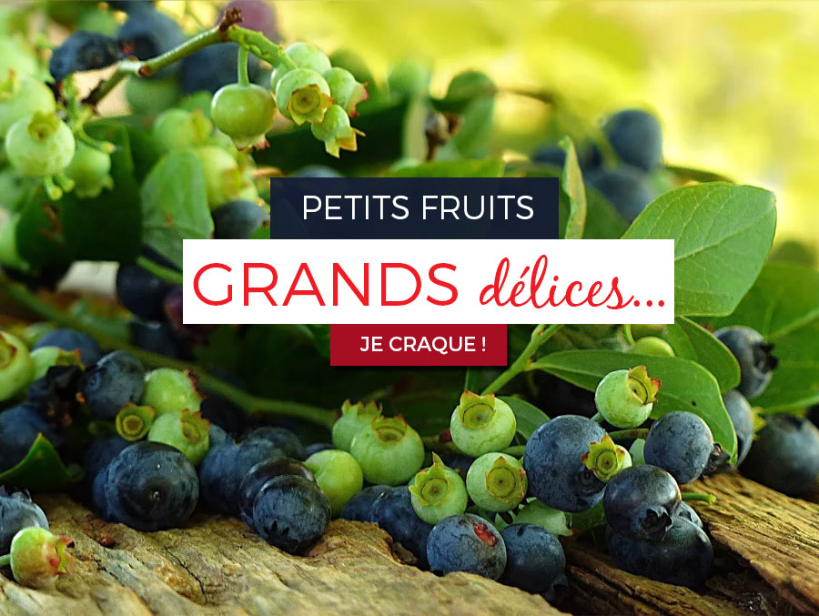 Promesse de fleurs, plantes pour le jardin : vivaces, arbustes ...