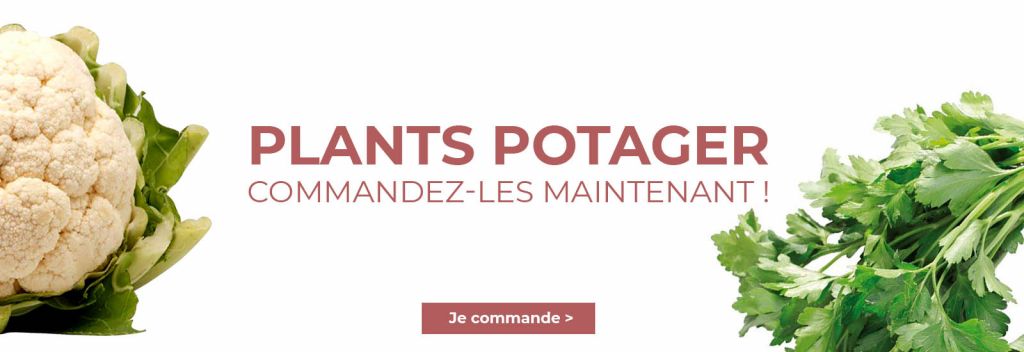 Potager - 3000 légumes en graines et plants pour cultiver votre jardin
