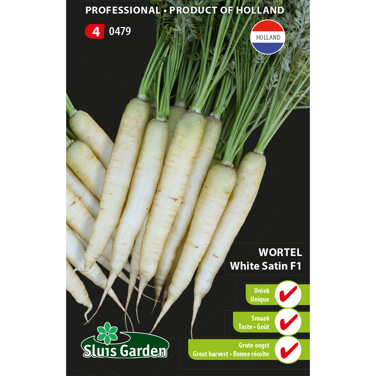 Carotte White Satin F1 - Graines potagères - Daucus carota - Carotte ...