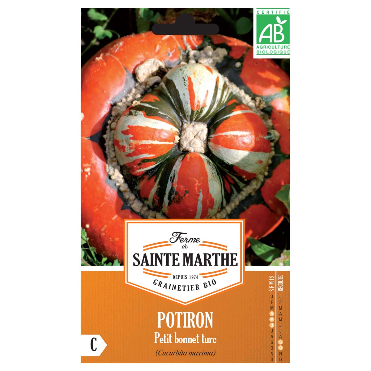 Potiron Giraumon Petit Bonnet Turc - Graines de courge