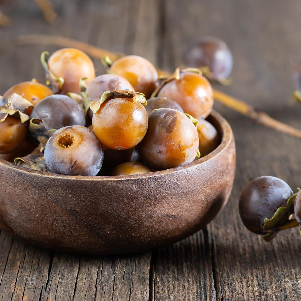 Diospyros lotus - Kaki - Plaqueminier lotier - Arbre ornemental et ...