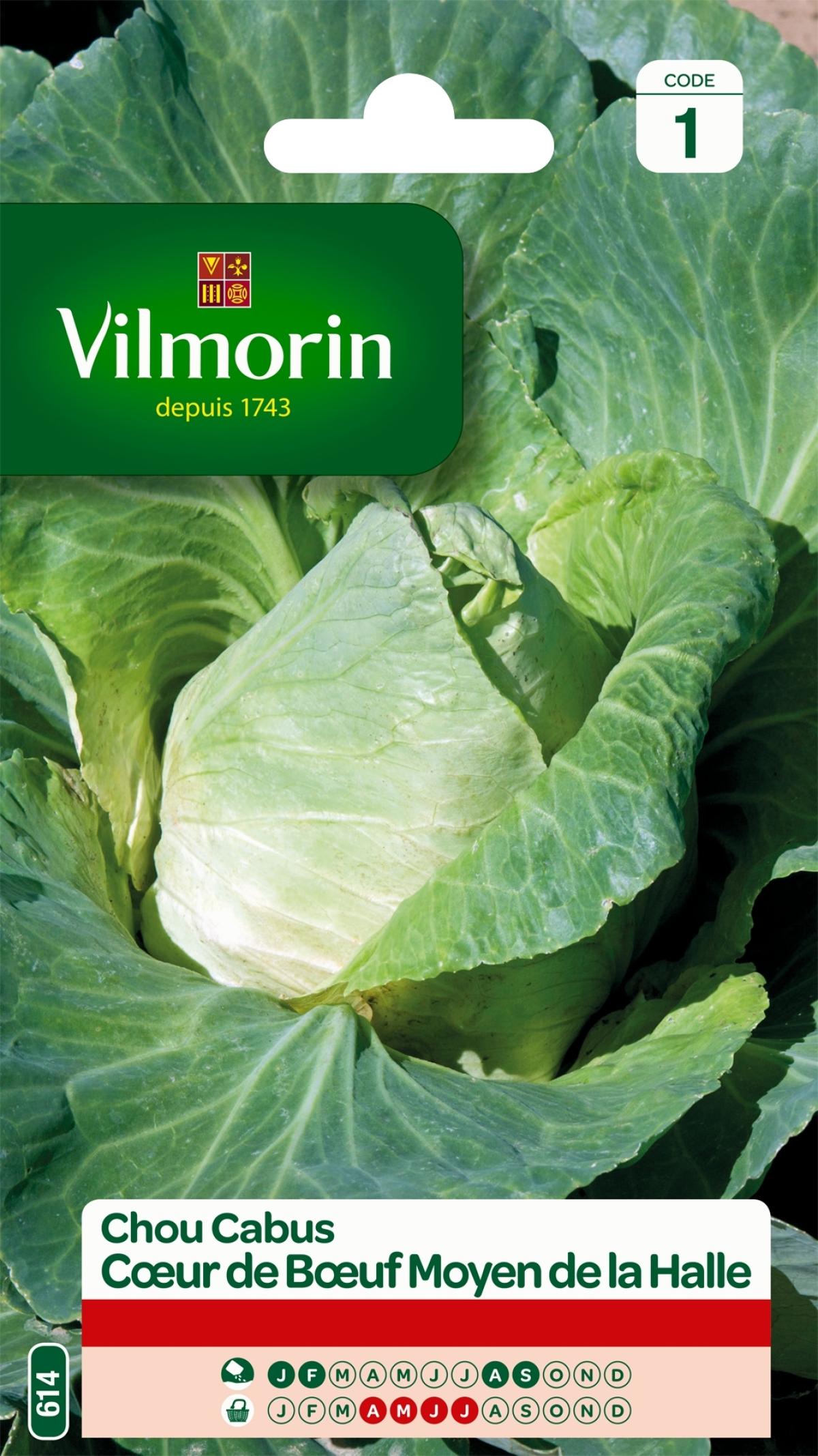 Chou Cabus Cœur de Bœuf Moyen de la Halle - Graines Vilmorin