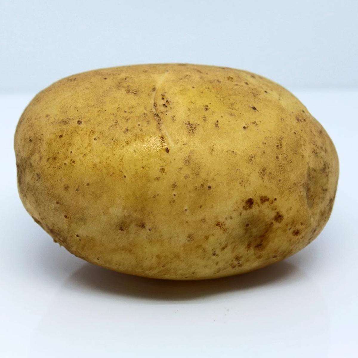 Plants de Pomme de terre Agria - Plants potagers